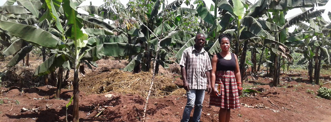 Share An Opportunity Zirobwe Cooperative Savings & Credit Society Ltd